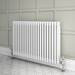 Keswick 600 x 988mm Cast Iron Style Traditional 2 Column White Radiator ...