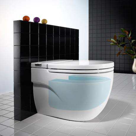 Roca In-Tank Meridian Back To Wall Toilet with Integrated Cistern ...