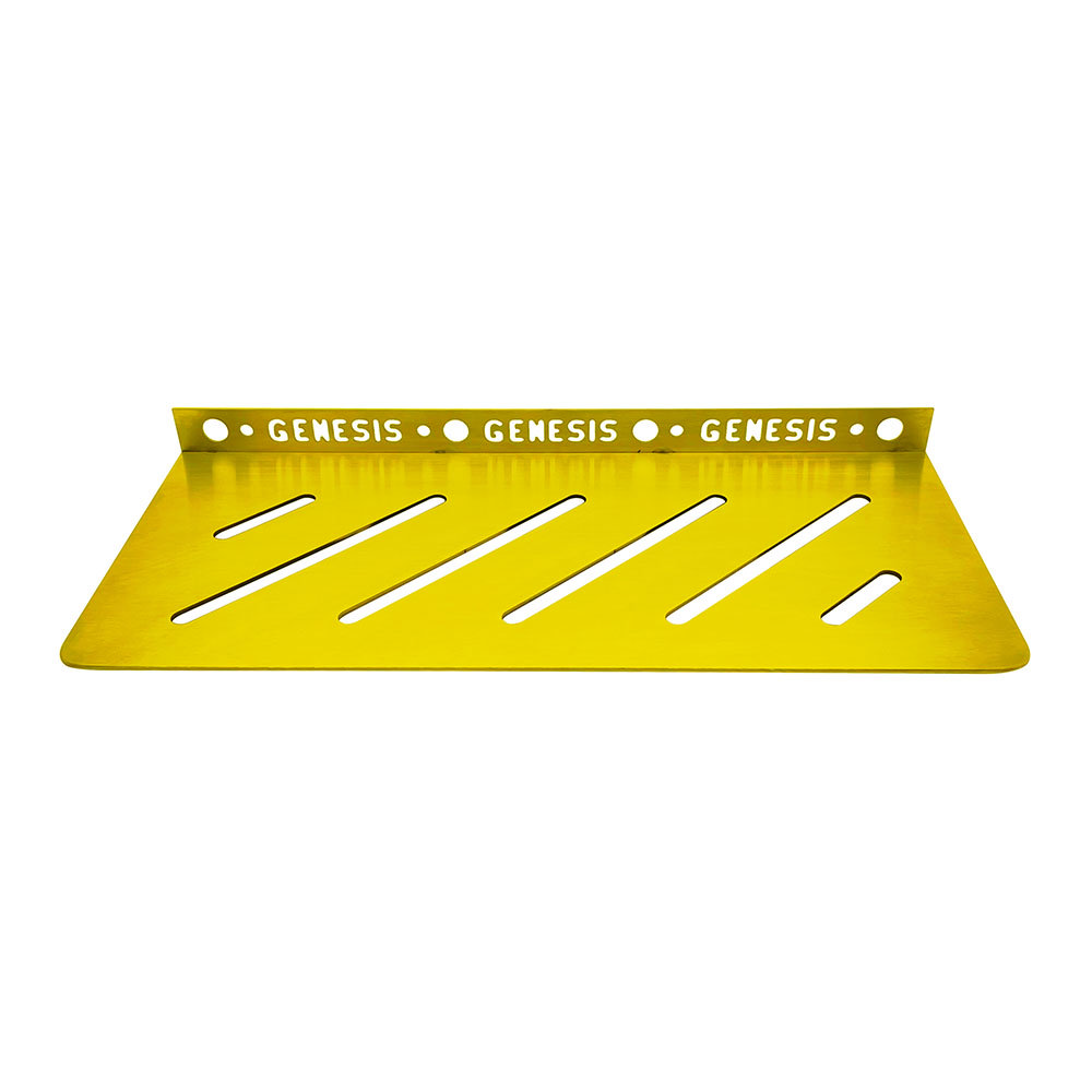 Genesis Gold Plated Stainless Steel Tile-In Shower Shelf