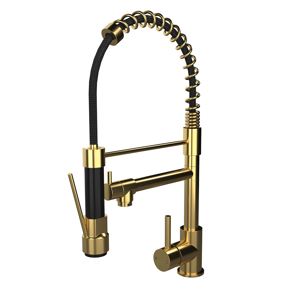 Venice Modern Kitchen Mixer Tap with Swivel Spout & Directional Spray ...