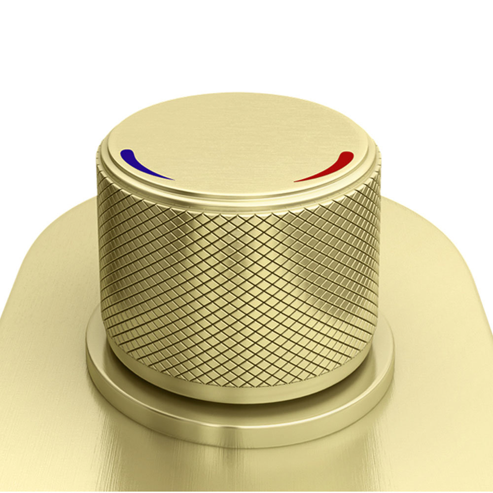 Arezzo Brushed Brass Industrial Style Push Button Shower Valve with ...