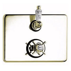 Beaumont Antique Gold Twin Thermostatic Shower Valve at Victorian ...