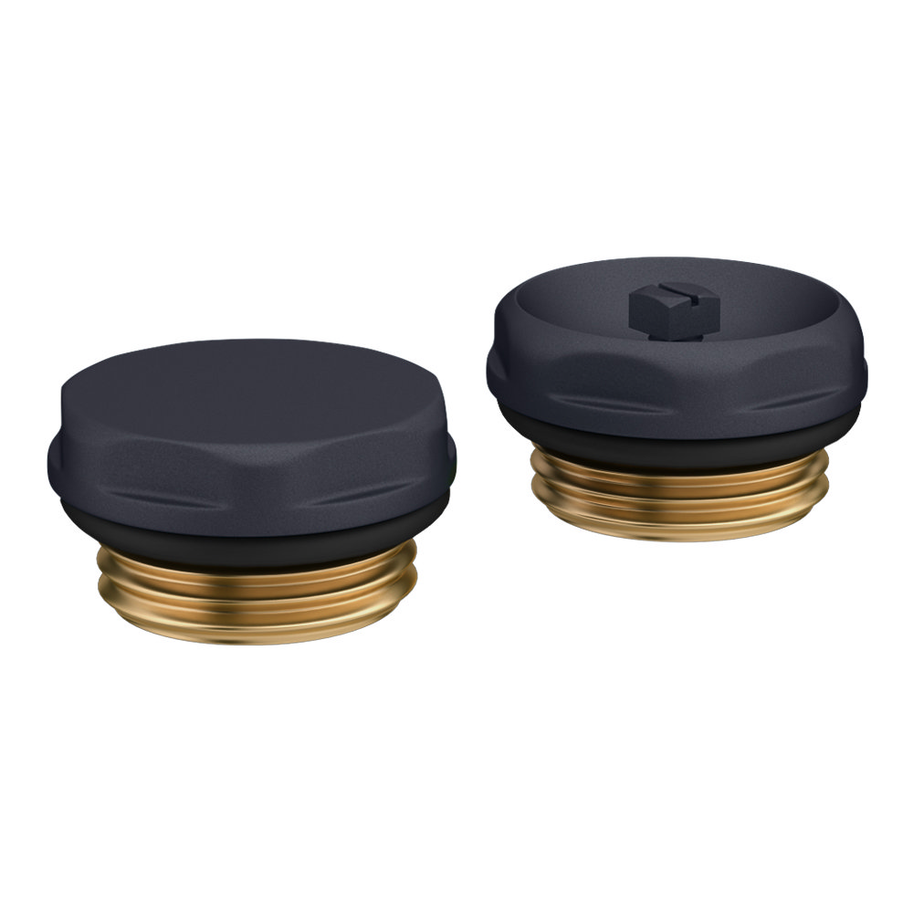 Chatsworth Radiator 1/2" Bleed Valve & Blanking Plug Anthracite