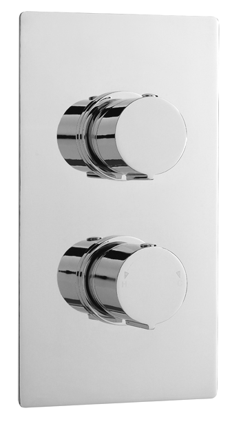 Ecco Twin Shower Valve with Built-In Diverter Square Plate at Victorian ...