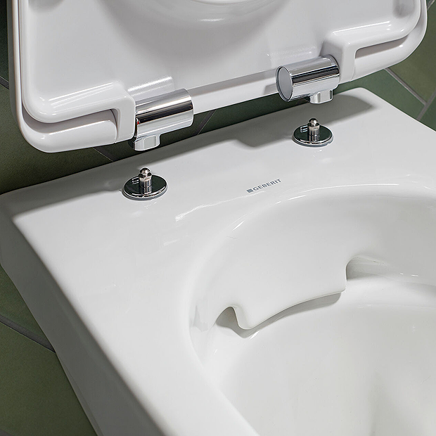 Geberit Rimfree Selnova Grab & Go Wall Hung WC with Soft Close Quick ...