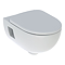 Geberit Rimfree Selnova Semi-Shrouded Grab & Go Wall Hung WC with Soft ...