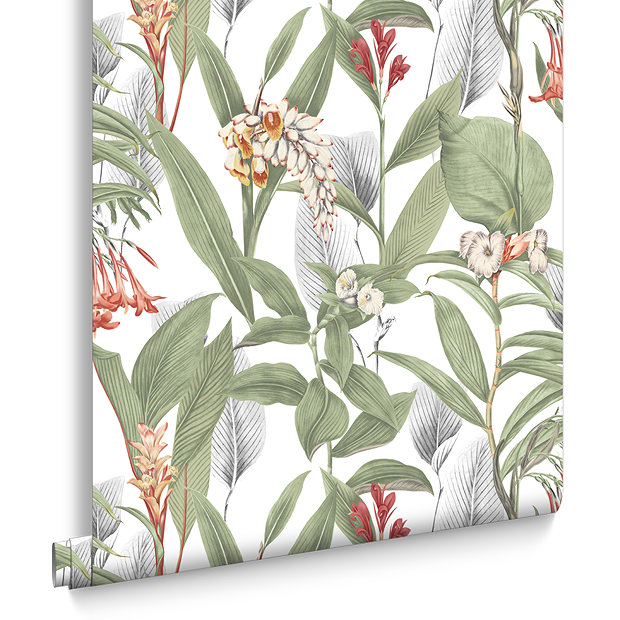 Graham & Brown Botanical Powder Wallpaper
