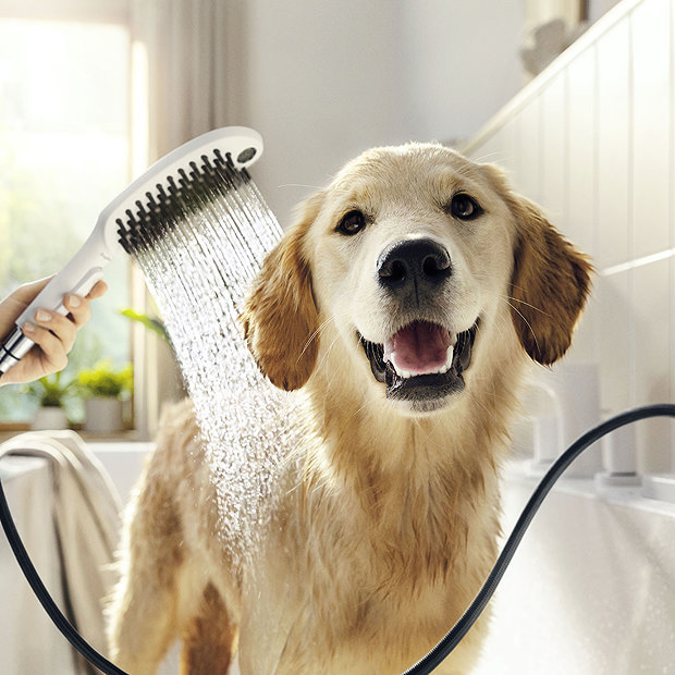 hansgrohe DogShower 3-Spray Dog Shower Handset - Matt White