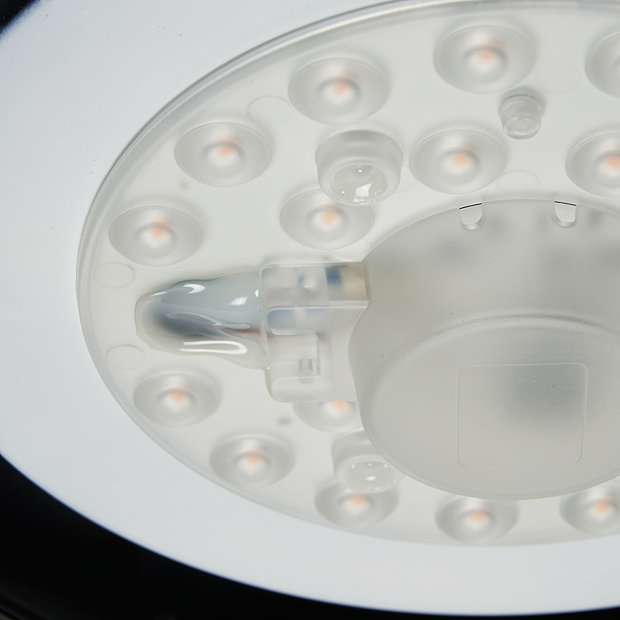 Revive LED Glass Dome Flush Ceiling Light - Matt Black