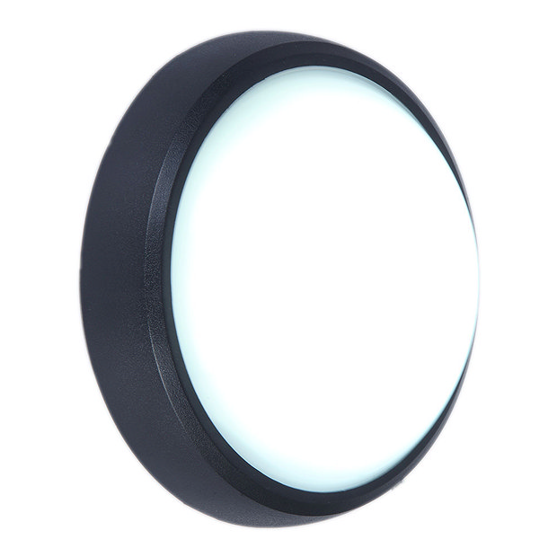 Revive Outdoor Round Black LED Wall & Ceiling Light